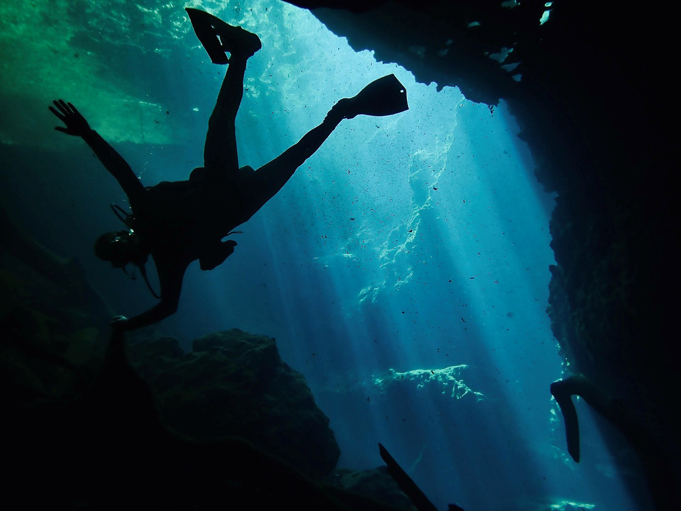 Paradise Springs Scuba Dive Trip – American Pro Diving Center Crystal River