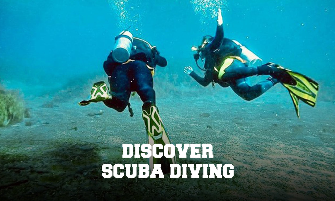 Crystal River Scuba Diving Classes – American Pro Diving Center Crystal ...