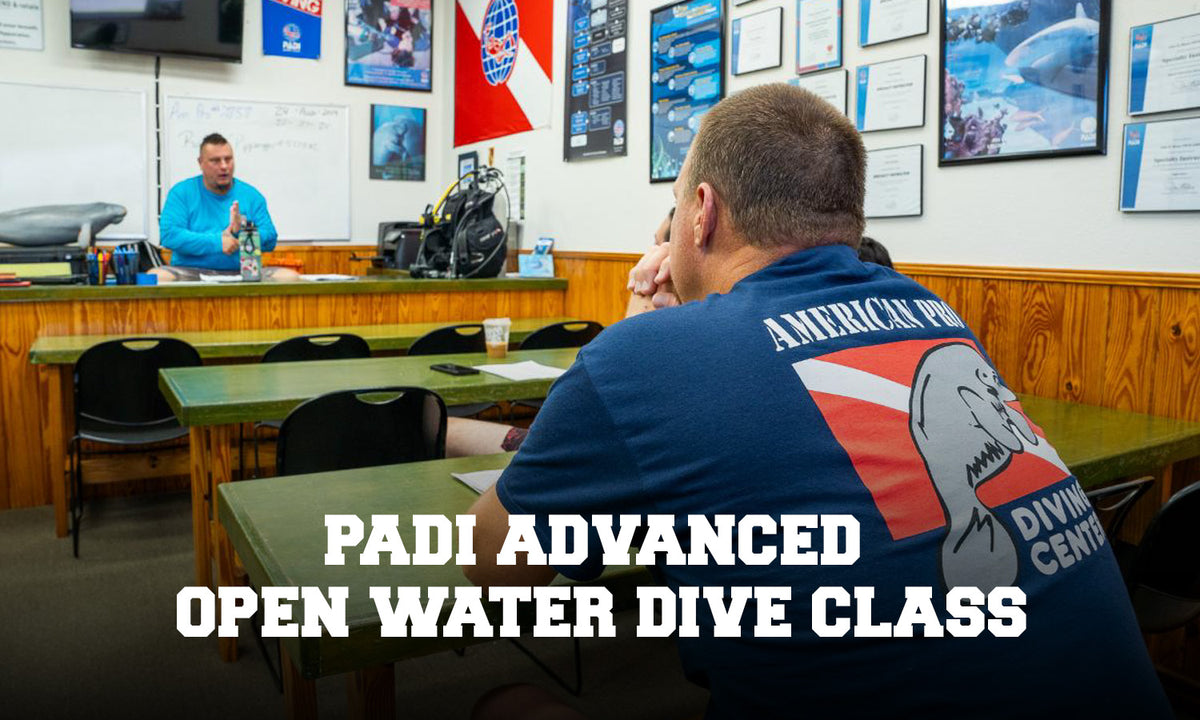 Crystal River Scuba Diving Classes – American Pro Diving Center Crystal ...