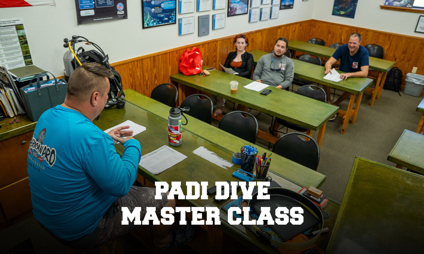 Crystal River Scuba Diving Classes – American Pro Diving Center Crystal ...