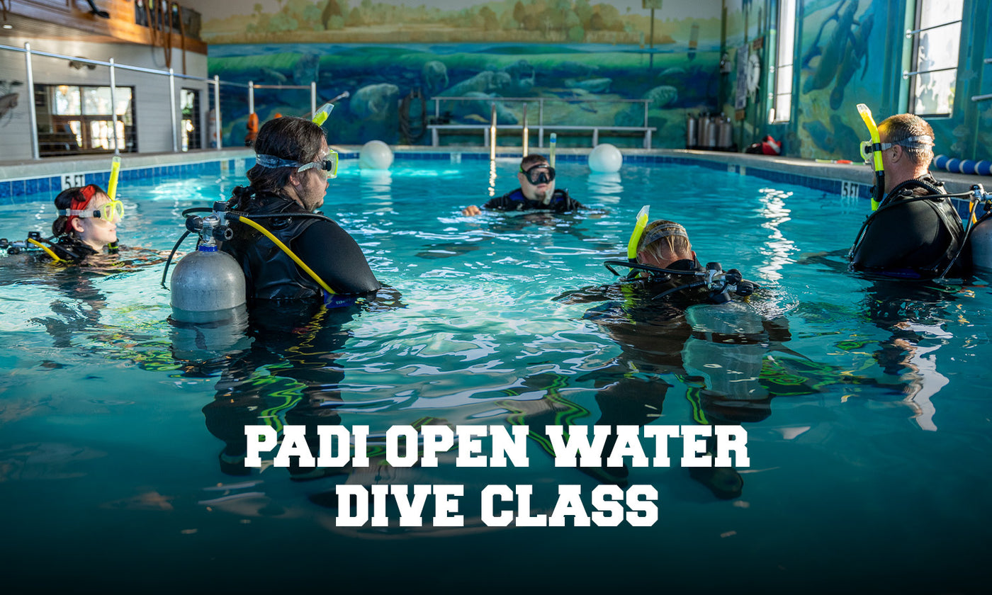 Crystal River Scuba Diving Classes – American Pro Diving Center Crystal ...
