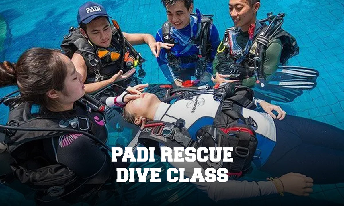 Crystal River Scuba Diving Classes – American Pro Diving Center Crystal ...