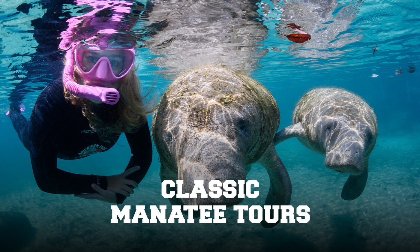 Crystal River Manatee Tours – American Pro Diving Center Crystal River